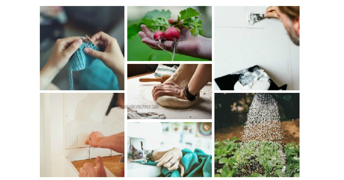 How to Be a Producer in a Nation of Consumers - The Organic Prepper