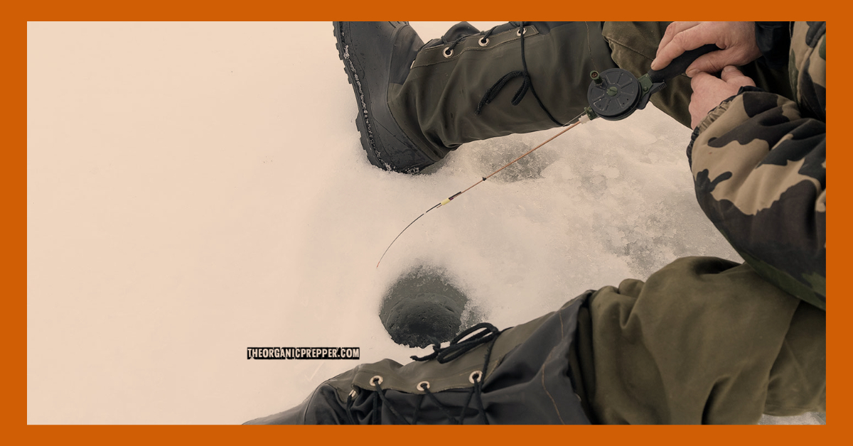Ice Fishing: Here's How to Do It Safely - The Organic Prepper