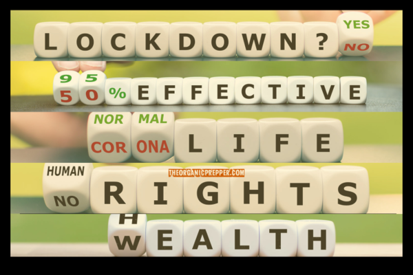 How Do You Adapt When the Rules Are Constantly Changing?