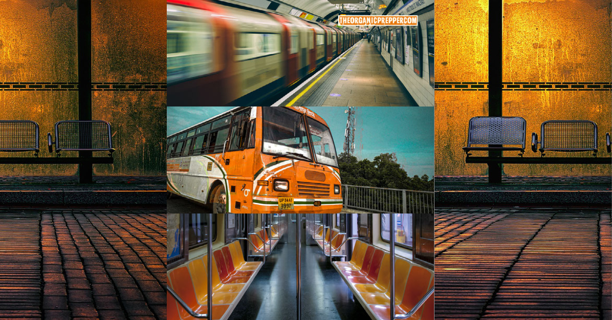 How to Stay Safe on Public Transport - The Organic Prepper