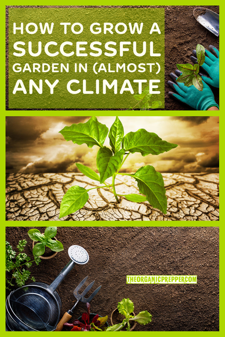 How to Grow a Successful Garden in (Almost) Any Climate