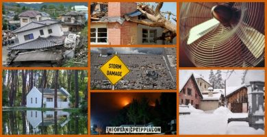 How to Design a Natural Disaster-Resistant Homes