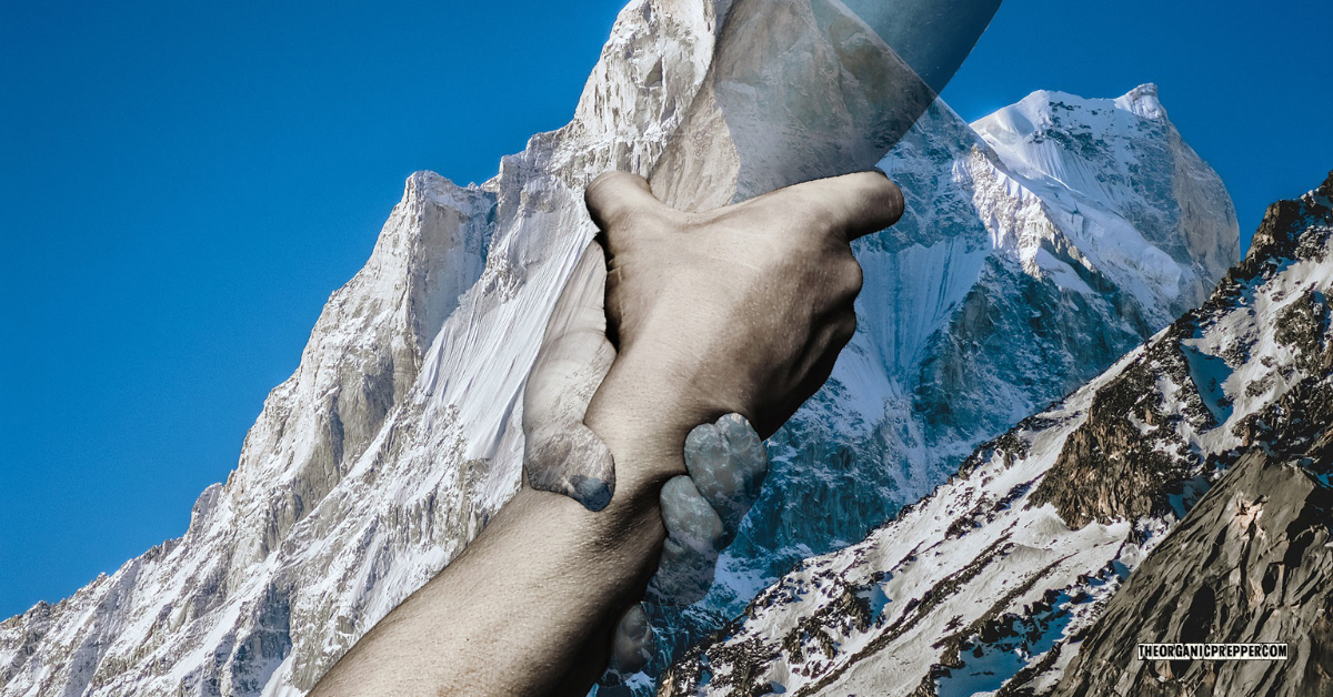 Real Life Survival Stories: The Mystery of The Third Man Factor