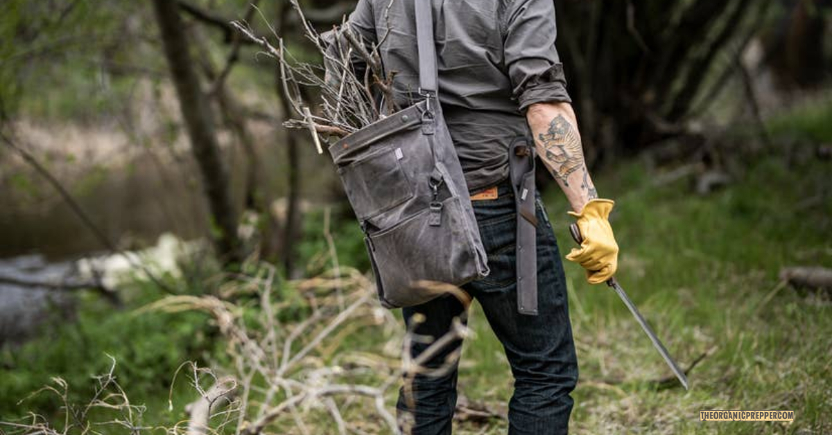 Here's What You Need to Build a Forager's Toolkit