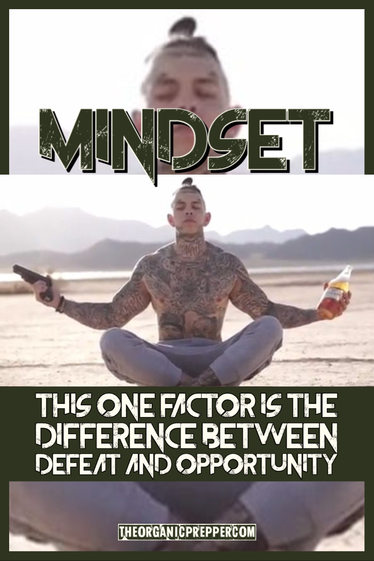 MINDSET: This Factor Is the Difference Between Defeat and Opportunity