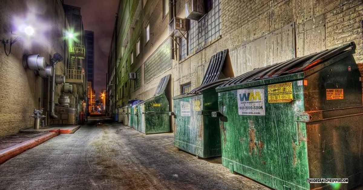 Scavenging: It's Not Just When the SHTF. For Many, It's a Way of Life