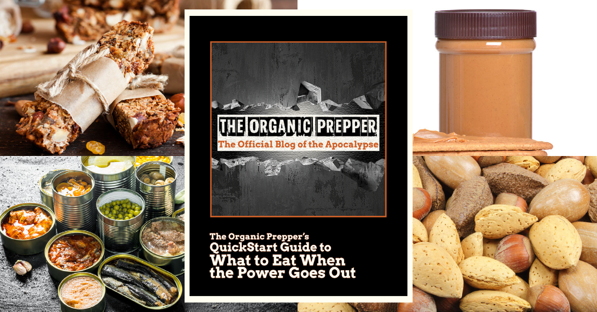 Get The OP QuickStart Guide to What to Eat When the Power Goes Out ...