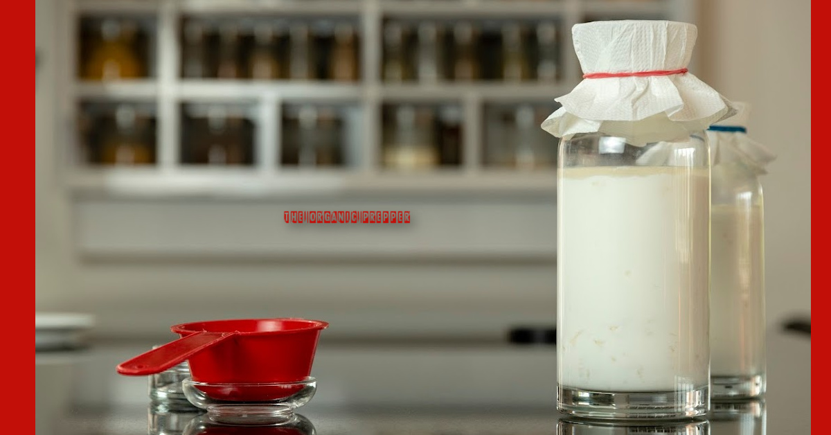 Homemade Kefir: The Ultimate Self-Sufficient Probiotic