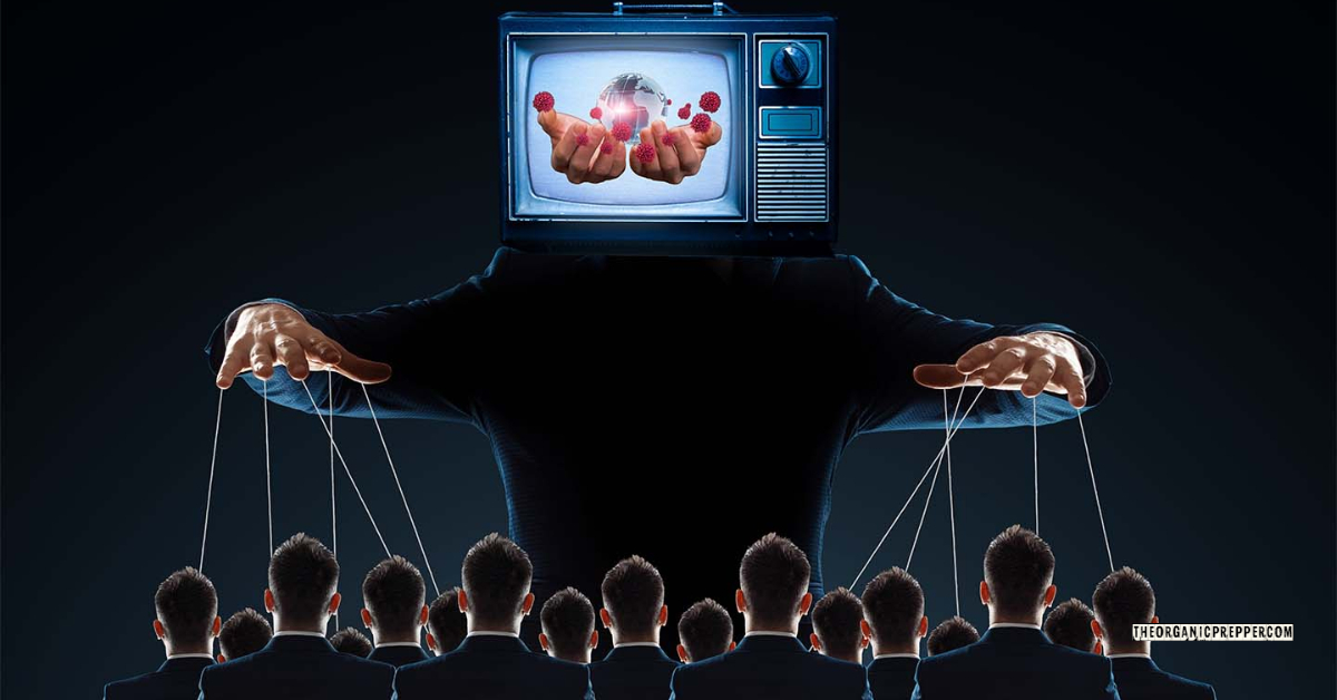 Why Should Preppers Care About Mass Formation Psychosis?