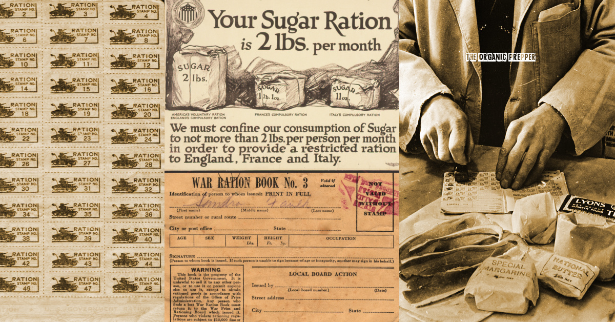 DC Asks Shoppers to Start Rationing Food: Is This Just the Beginning?