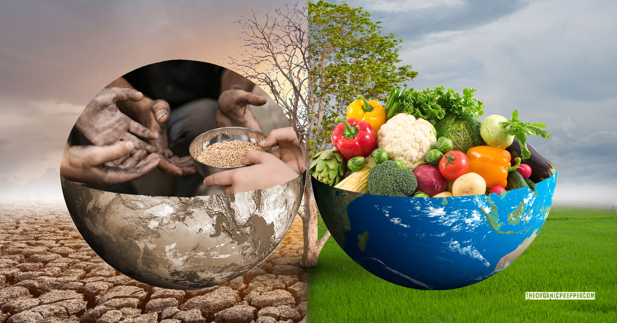 Famine is Coming. Are City Dwellers Prepared?