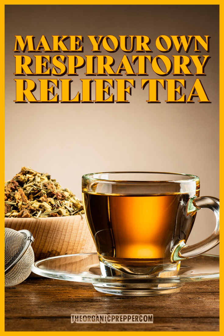 Make Your Own Respiratory Relief Tea - The Organic Prepper