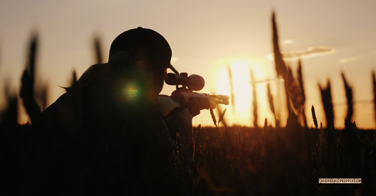 Small Game Hunting: Tips & Tricks - The Organic Prepper