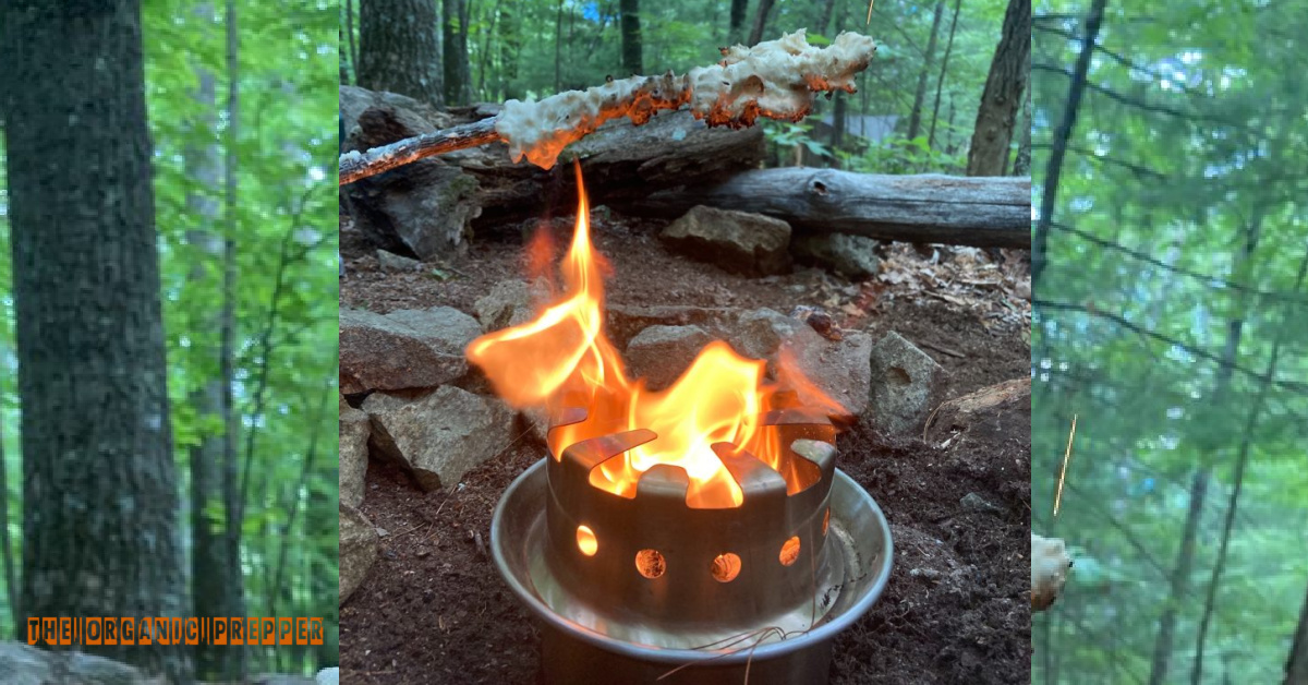 How to Bake Bread Off-Grid - The Organic Prepper