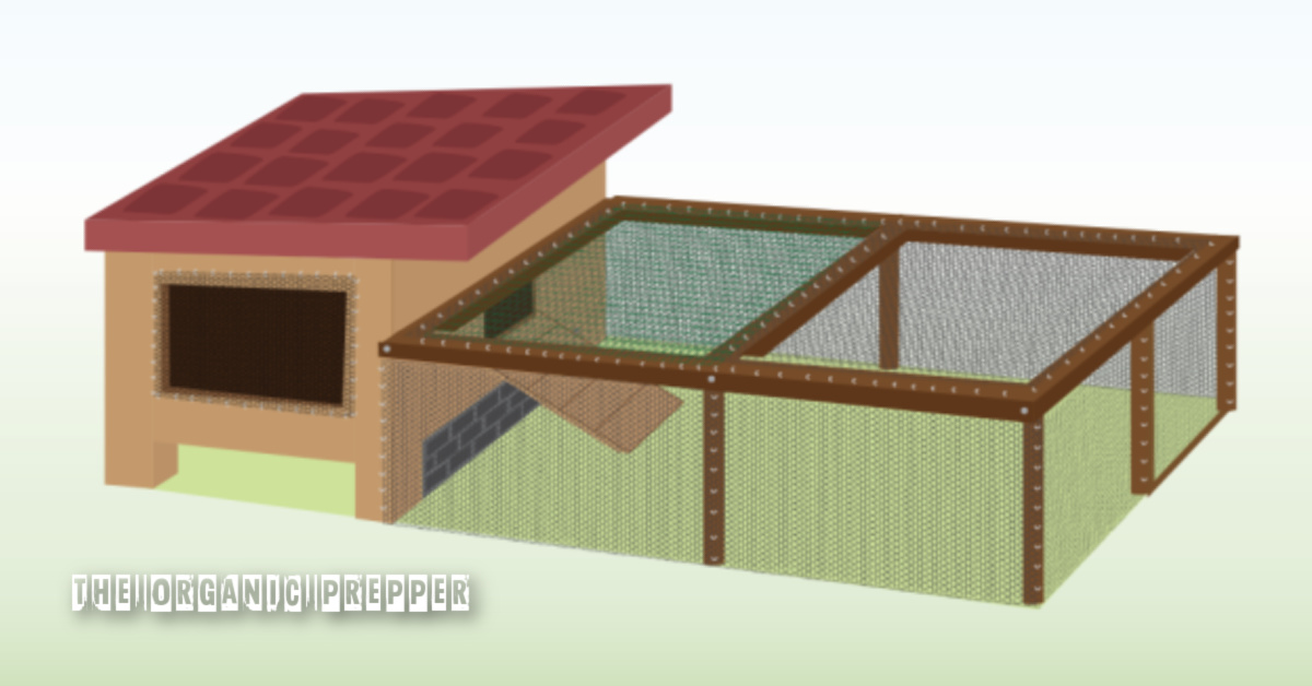 How to Build a Chicken Run - The Organic Prepper
