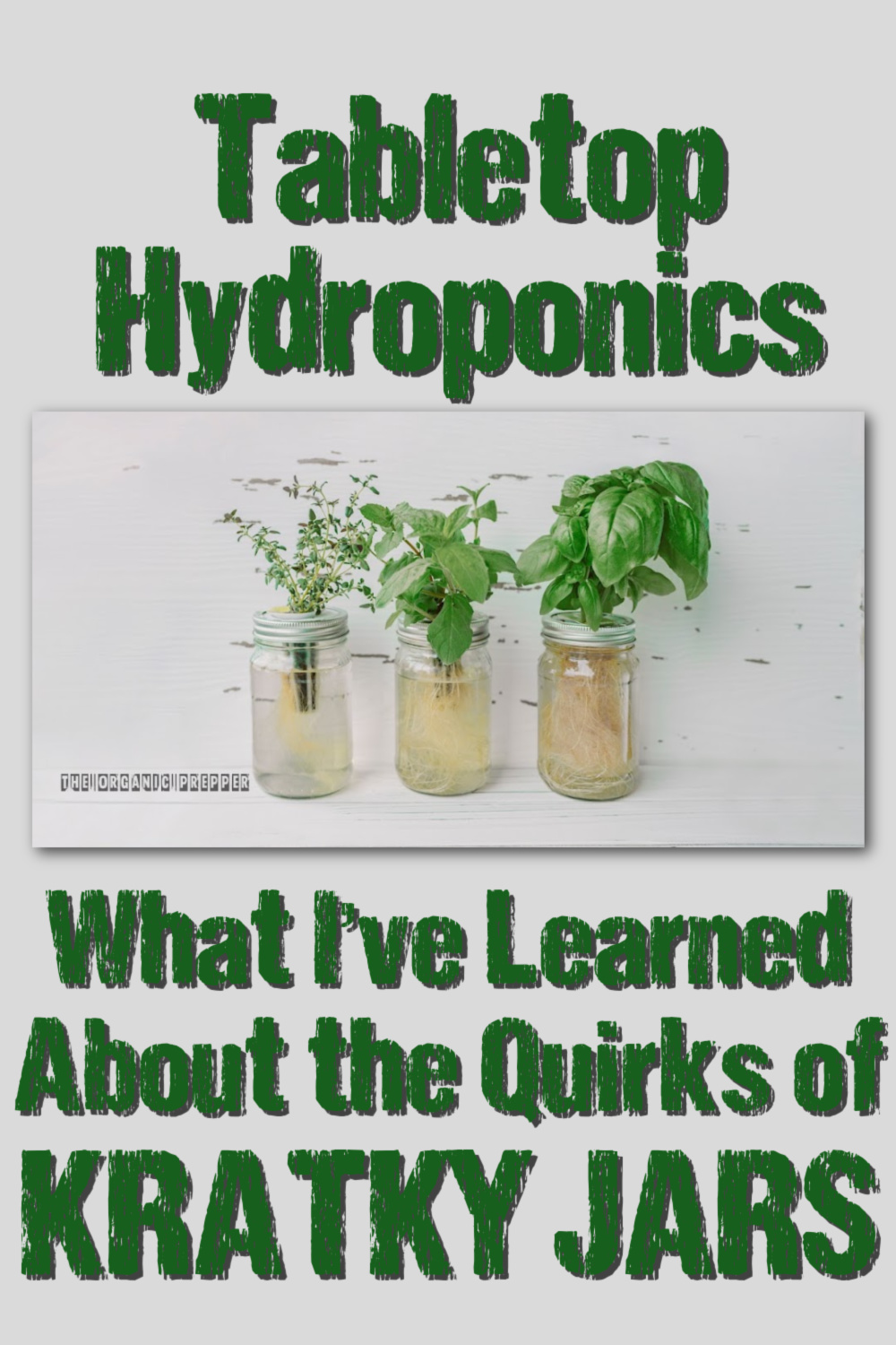 Tabletop Hydroponics: What I Know About the Quirks of Kratky Jars