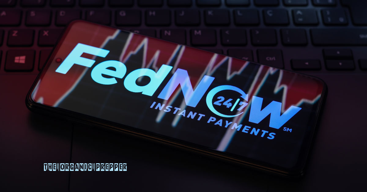 FedNow Instant Payments Are Coming and CBDCs Will Follow