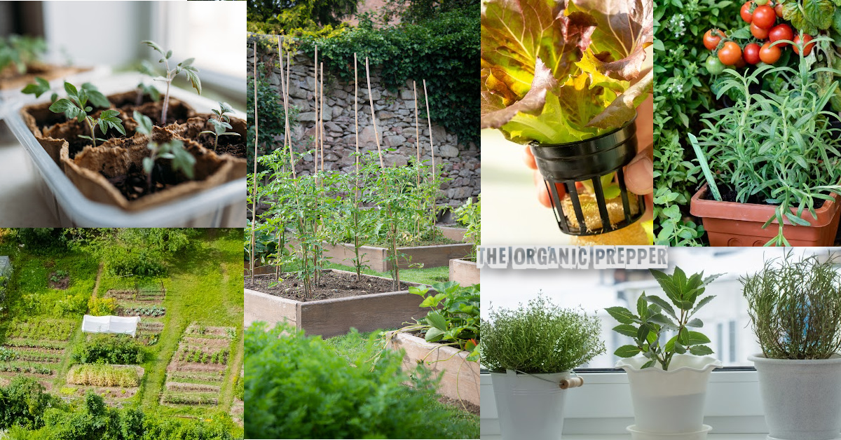 55 Gardening Resources to Help You Have the Best Harvest Ever