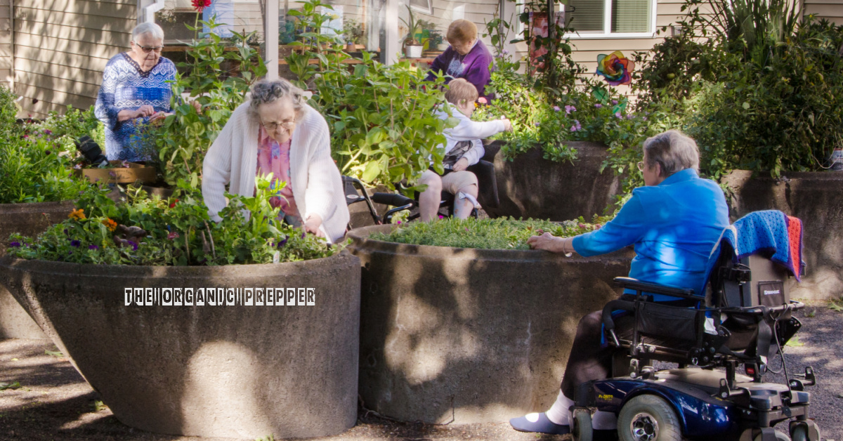 Adaptive Gardening: Grow Food When You're Not Fit and Flexible