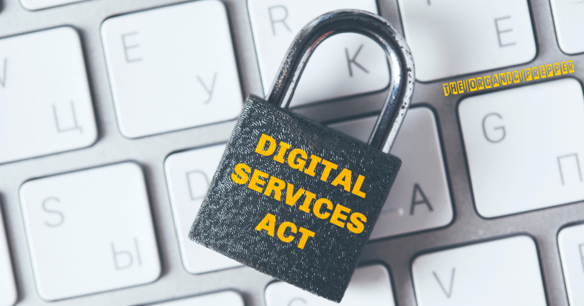 Digital Services Act: A Framework to Gain Control of the Internet