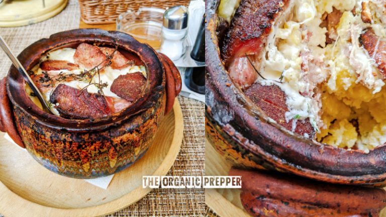 What You Can Learn About Preparedness from Traditional Food - The ...