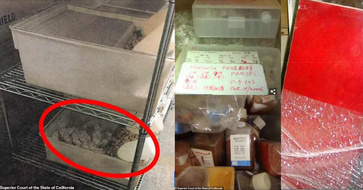 Why Aren't We Retaliating Over That Chinese BioLab in California?