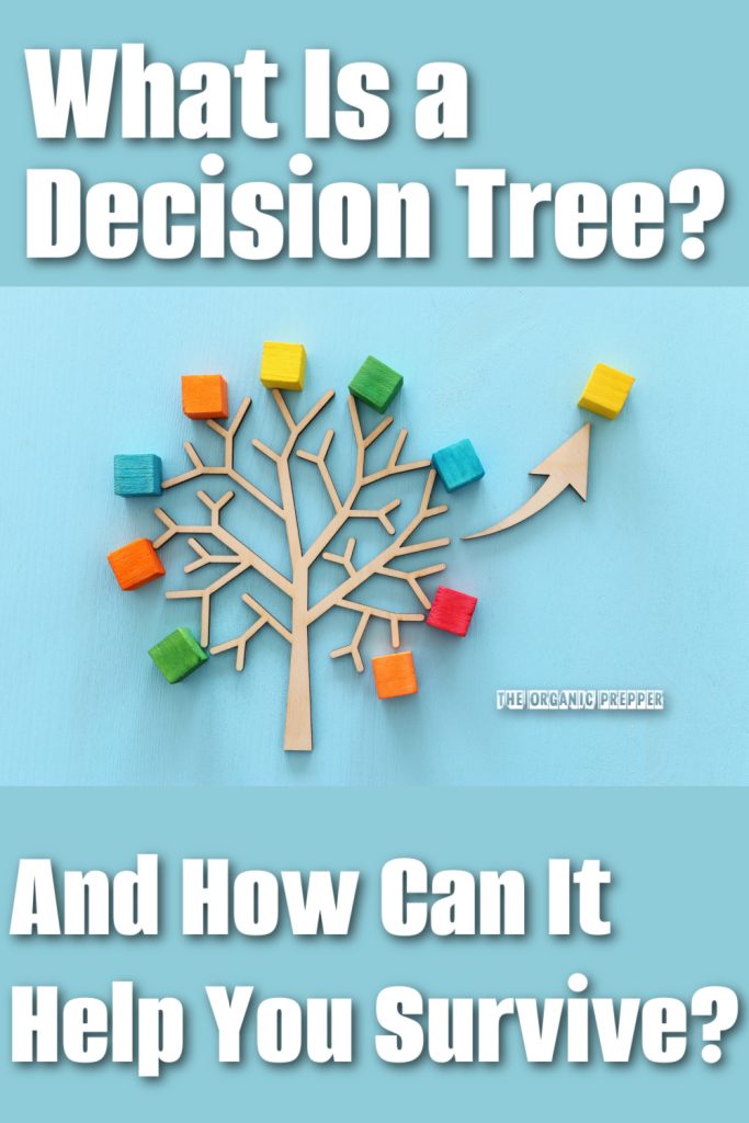 What Is a Decision Tree and How Can It Help You Survive? - The Organic ...
