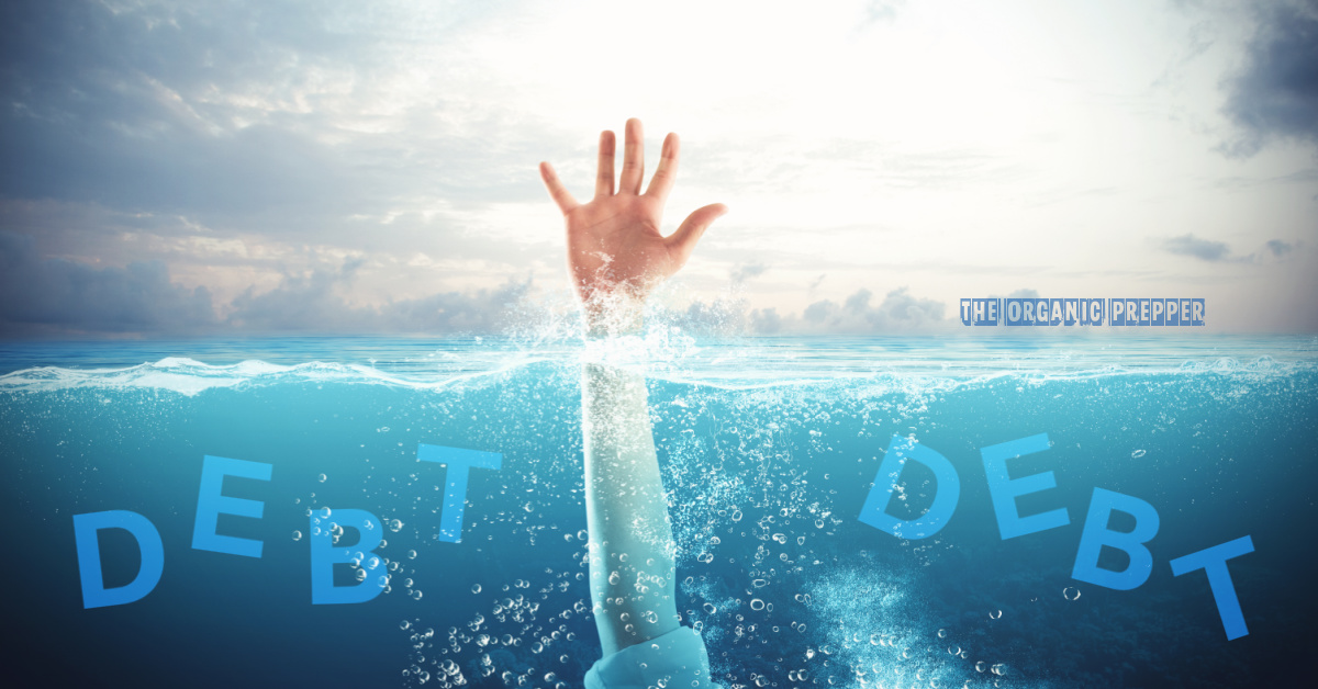 Refugees from Economic Collapse Are Deeply in Debt - The Organic Prepper