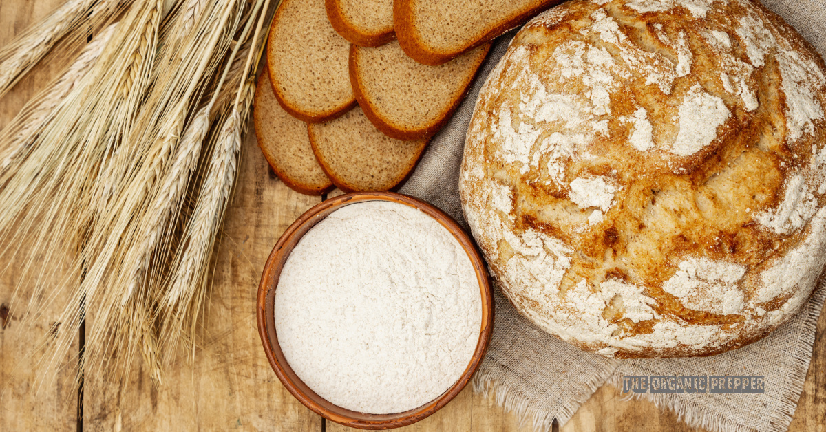 How to Make Lard Bread - The Organic Prepper